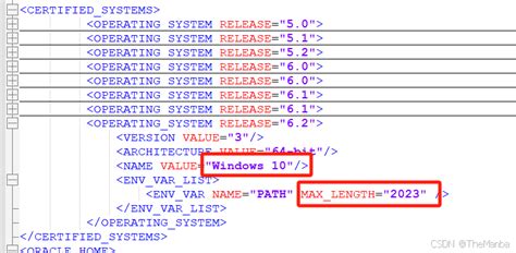 1 Oracle 安装报错——环境变量过长this Test Checks Whether The Length Of The Environ Csdn博客