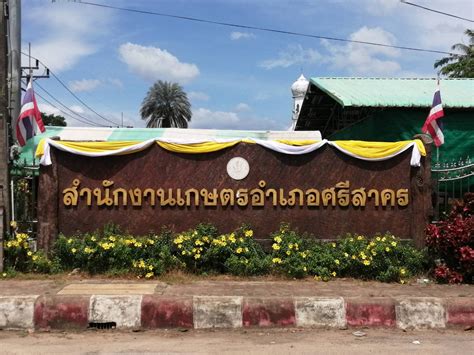 สำนักงานเกษตรอำเภอศรีสาคร เกษตรศรีสาคร ตรวจประเมินแปลง Gap เบื้องต้น พร้อมให้คำแนะนำแก่เกษตรกร