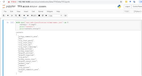 An Error Occurs When Run TFX Example In Local Kubeflow Cluster Issue