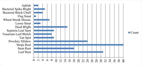 Count Of Different Wheat Diseases Download Scientific Diagram