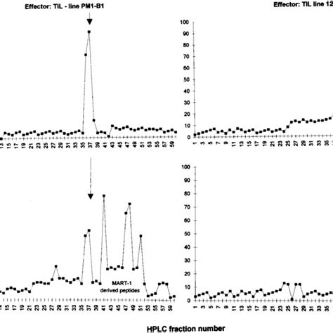 T Cell Epitope Mapping Mart 1melan A Derived T Cell Epitopes Are
