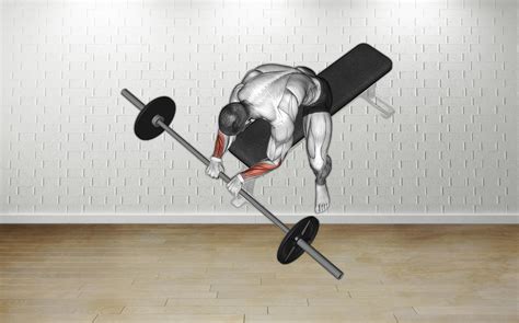 Build Strong Forearms With Barbell Reverse Wrist Curls Fitness Volt
