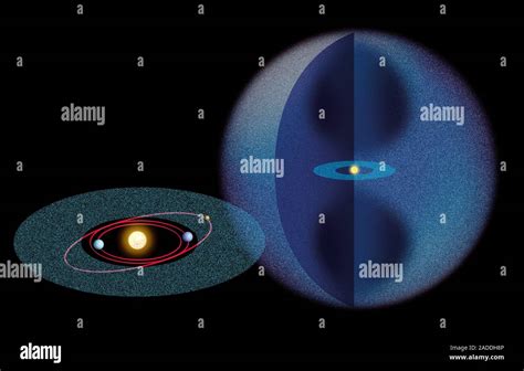 Kuiper Belt Oort Cloud And Models
