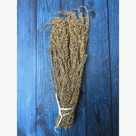 Полынь горькая Австрийская - купить в интернет-магазине Всё для бани