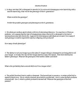 Genetics Practice Problem Set By Science Corner TpT