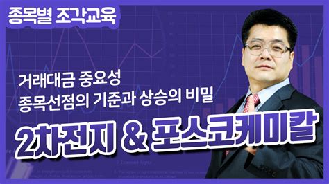 이차전자 전략 And 포스코케미칼 전략 Youtube