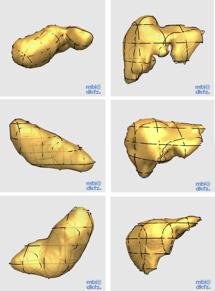 The Positions Of The Contours Which Are Used For The Interpolation Download Scientific Diagram