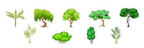 Different Tree With Trunk And Green Crown Vector Image
