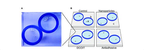 Tile Setup Beneath One Camera Actual Image A Of One Tile Setup Download Scientific Diagram