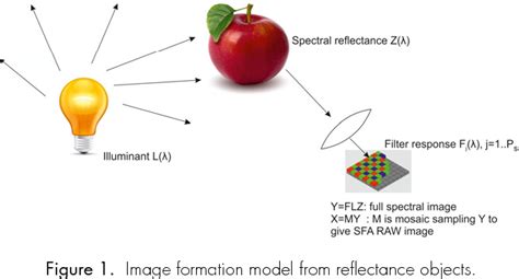 Figure 1 From N Lmmse Demosaicing For Spectral Filter Arrays Semantic Scholar