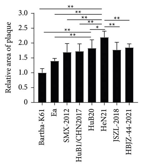 Biological Characteristics Of Different Pseudorabies Virus Strains A Download Scientific