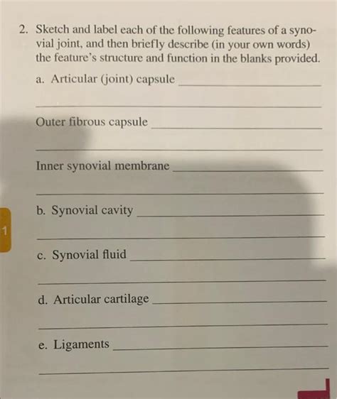 Solved Sketch And Label Each Of The Following Features Of A Chegg Com
