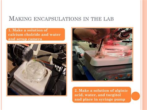 Ppt Design Engineering Cell Encapsulation Powerpoint Presentation