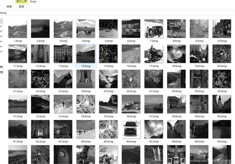 对pgm格式图片的批量格式转换(pgm)pgm转换器 Csdn博客 对pgm格式图片的批量格式转换(pgm)pgm转换器 Csdn博客