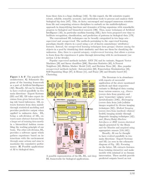 Applications Of Deep Learning And Reinforcement Learning To Biological