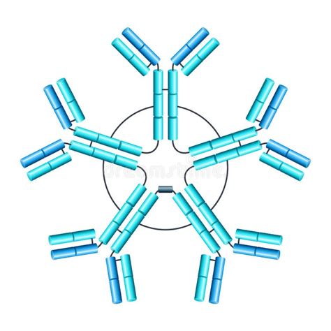 Igm Structure Stock Illustrations 49 Igm Structure Stock