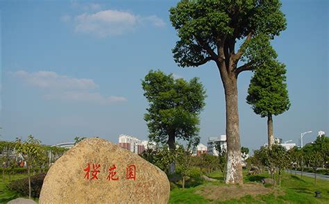 Zhejiang Sci Tech University