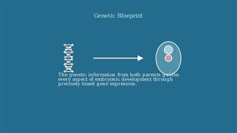Understanding Diffusion Movement Types And Everyday Examples Biology Notes Online