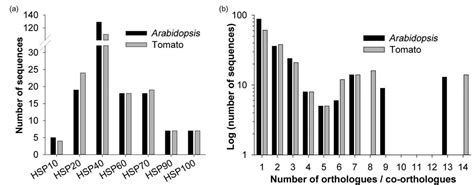 Heat Shock Protein Hsp Orthologues And Co Orthologues