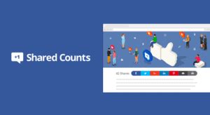 Ideas Com Best WordPress Twitter Feed Widgets Of Compared