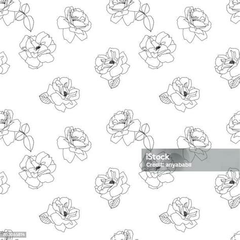 원활한 검은색과 흰색 장미 패턴입니다 꽃 배경입니다 Vecor 꽃 그림입니다 0명에 대한 스톡 벡터 아트 및 기타 이미지 0명 검은색 드로잉 Istock