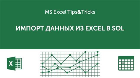 Как импортировать данные из данных Excel в Ms Excel Tipsandtricks