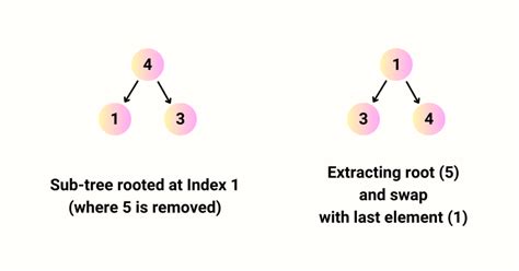 Heap Sort Algorithm Conquer Data Sorting