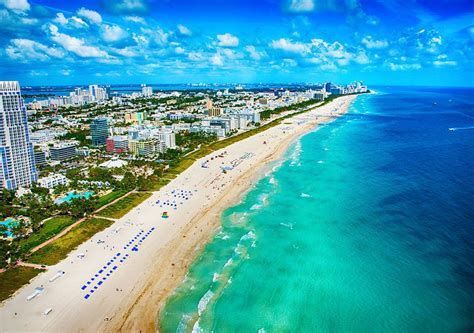 The Reefline Miamis Next Big Public Art Piece Luxury Miami Realtor