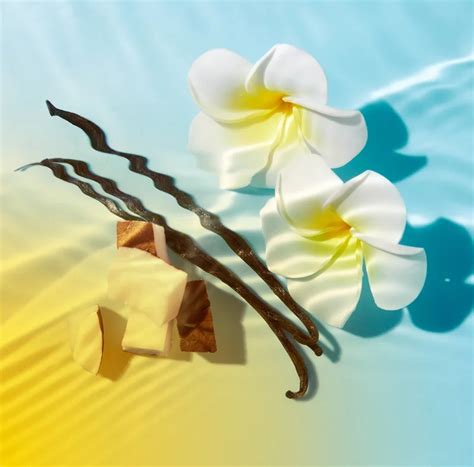 Nuxe After Sun თმის And სხეულის შამპუნი 200 მლ Veli Store