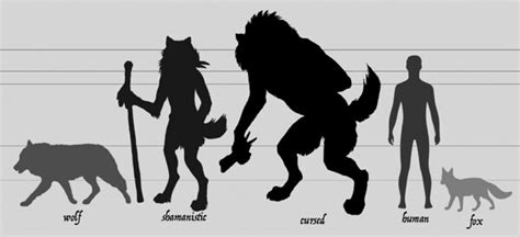 Wolf Vs Human Size