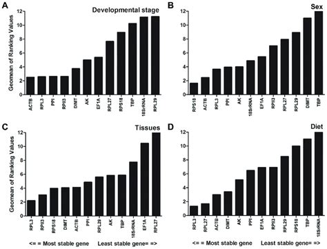 Stability Of Candidate Reference Gene Expression Under Different