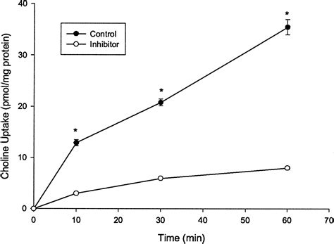 Choline Uptake In Human Intestinal Caco 2 Cells Is Carrier Mediated