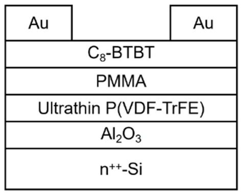 Ultra Low Power Consumption Ferroelectric Transistor Memory Based On Two Dimensional Organic