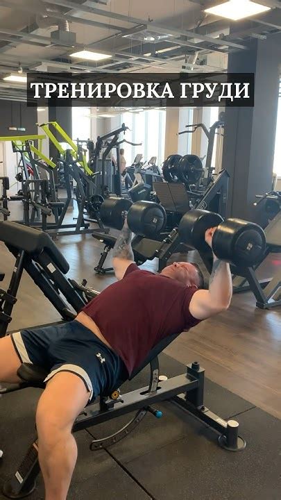 Тренировка на грудь Упражнения для груди Тренажерный зал Силовые тренировки Youtube
