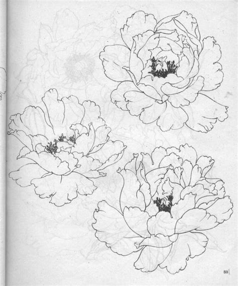 花朵白描 玫瑰花白描 花卉白描线稿 大山谷图库