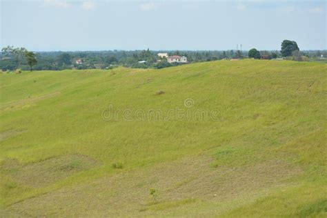 Empty Vacant Lot With Grass And Trees View During Daytime Stock Image