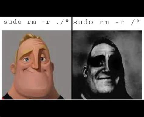 the life of a thinkpad r linuxmemes