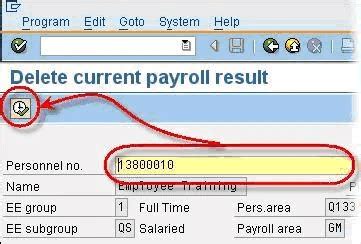 How To Delete Payroll Results In SAP PU