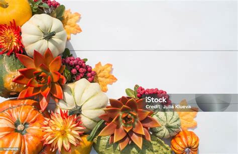 추수 감사절 다채롭고 장식적인 호박 산 재와 즙이 많은 꽃과 열매의 가을 배경 풍성한 수확 할로윈 휴일의 개념 작물에 대한 스톡 사진 및 기타 이미지 Istock