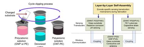 A Schematic Of The Layer By Layer Self Assembly Process Download Scientific Diagram