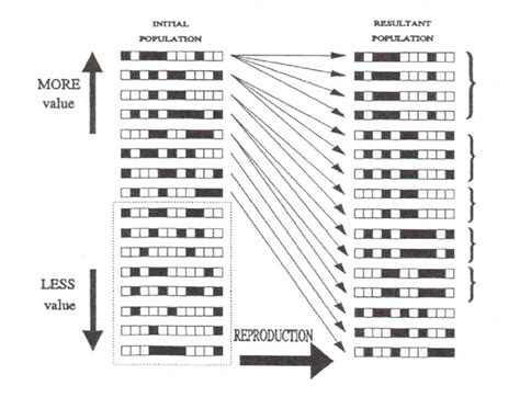 Reproduction Process In A Genetic Algorithm Download Scientific Diagram