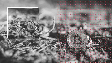How Is Sustainable Blockchain Helping To Combat Climate Change And Reach Net Zero Emissions