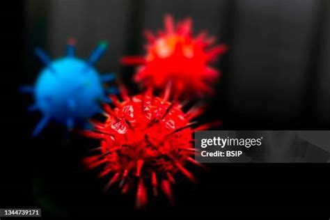Epidemiological Model Photos And Premium High Res Pictures Getty Images Epidemiological Model Photos And Premium High Res Pictures Getty Images