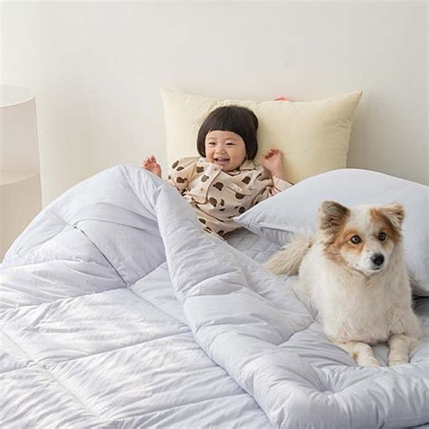 체고케어 털 안 붙는 알러지케어 침구 모음 파스텔그레이