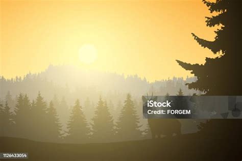 현실적인 그림 벡터의 침 엽 수 숲과 사슴 햇빛과아침 노란 하늘 아래 산 풍경 태양광선에 대한 스톡 벡터 아트 및 기타 이미지 태양광선 사슴 산 Istock