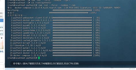 Ky10 Server Docker Compose 离线安装docker Ky10 Csdn博客