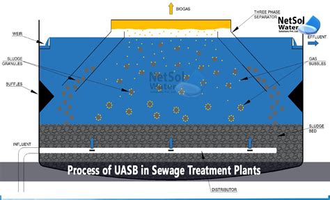 Uasb Reactor Cfd Simulation Of Anaerobic Granular Sludge Reactors A