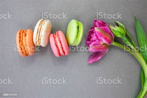 여러 가지 빛깔의 아몬드 쿠키와 회색 배경에 신선한 분홍색 튤립 맨 위 보기입니다 꽃 식물에 대한 스톡 사진 및 기타 이미지 꽃 식물 선물 케이크 Istock