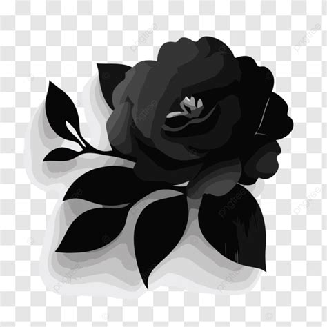 흰색 바탕에 잎이 있는 검은색 꽃 벡터 흰색 배경에 동백의 단순한 검은 아이콘 그림자 없음 작은 프레임 중앙 Png 일러스트 및 벡터 에 대한 무료 다운로드