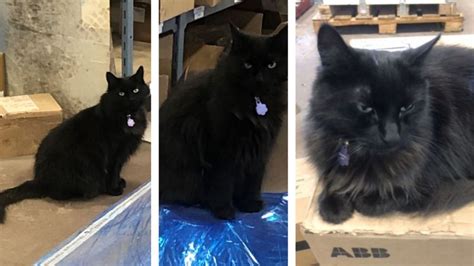 Robin Roebuck Posted On Linkedin